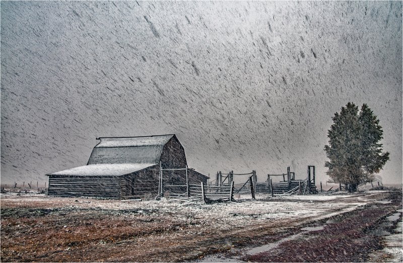 2021-22 Annual Print Competition - Solihull Photographic Society